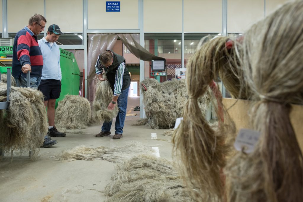 The collaboration between 3 French flax producers sharing the same ...